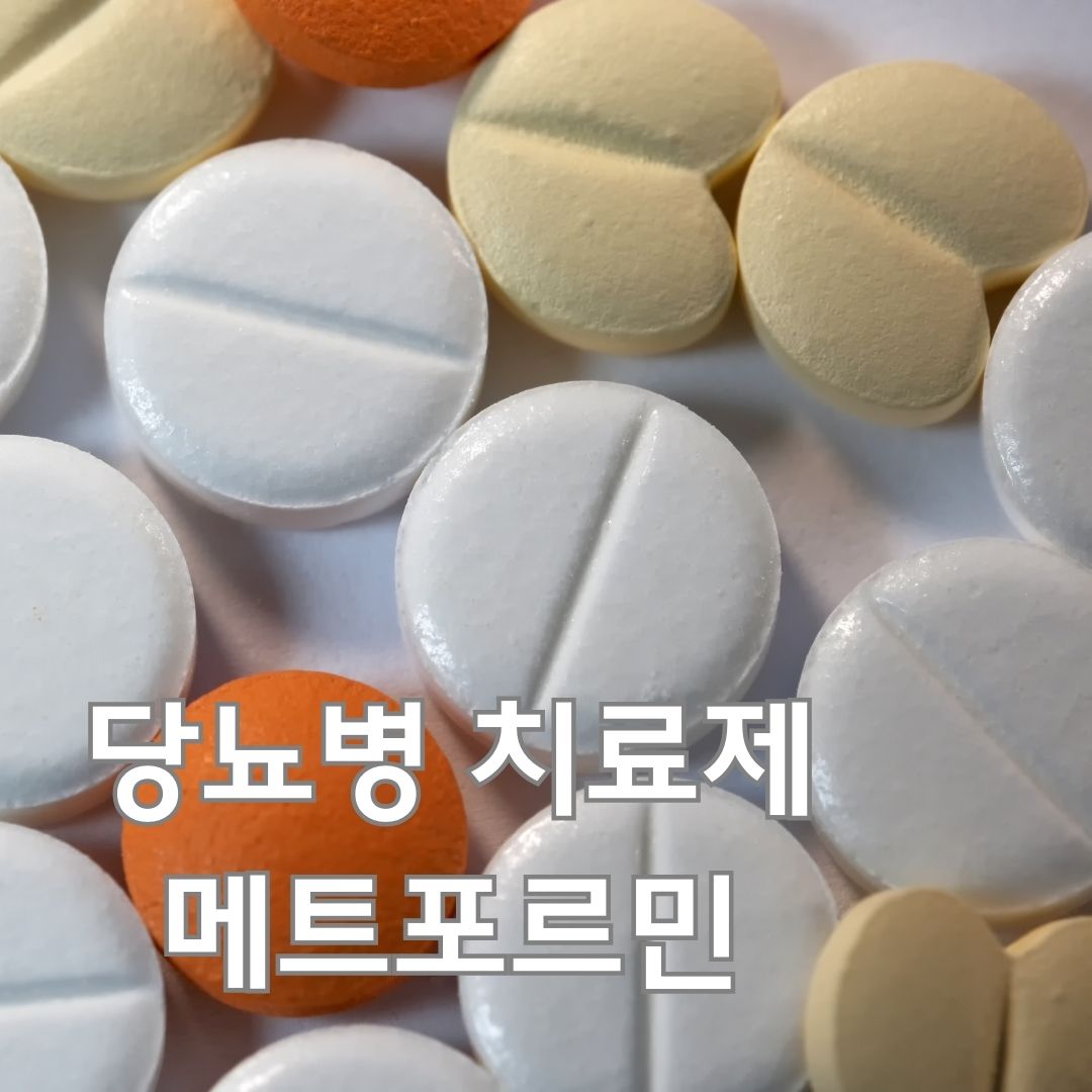 당뇨치료제 메트포르민 제대로 알고 계시나요 효과 및 부작용